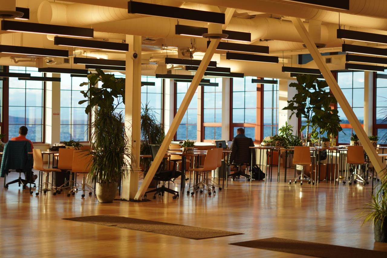 Find Your Ideal Workspace at Hula in Burlington Vermont